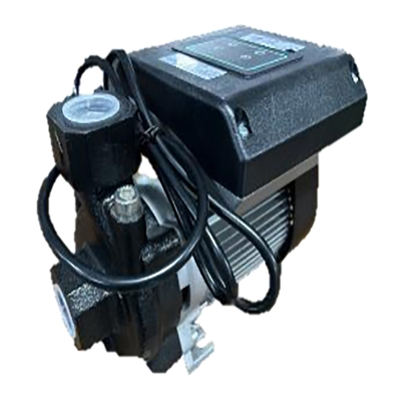 PFB 06-22 Pro Permanent magnet inverter centrifugal booster pump ...